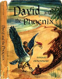 Download book David and the Phoenix PDF - Noor Library
